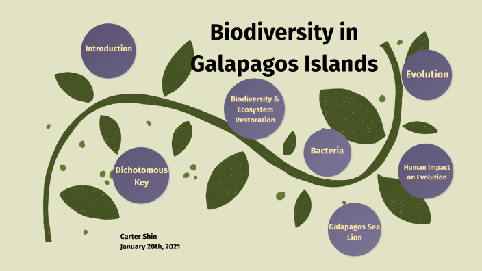 Biodiversity in Galapagos Islands by Carter Shin on Prezi