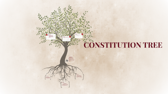 CONSTITUTION TREE by AMARI BAILEY on Prezi