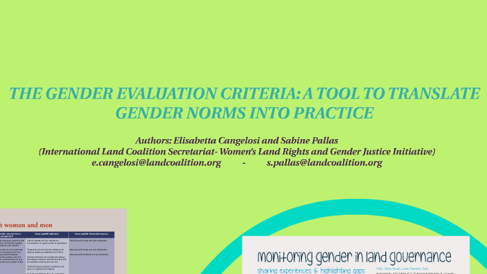 THE GENDER EVALUATION CRITERIA: A TOOL TO TRANSLATE GENDER N by ...