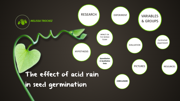 Affect of acid rain in seed germination by Melissa Trochez on Prezi