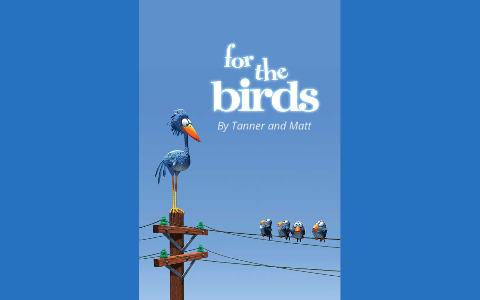 By The Birds by Tanner MacLean on Prezi