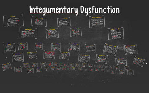 Integumentary Dysfunction by Mia P on Prezi