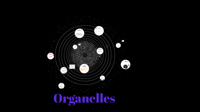 Organelles by Haley Taber on Prezi