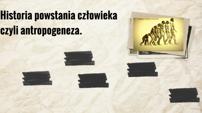 Historia powstania człowieka czyli antropogeneza. by Katarzyna Nalepa ...