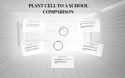 PLANT CELL TO A SCHOOL COMPARISON by ida moon on Prezi