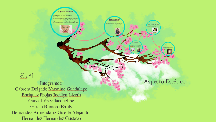 Aspecto Estetico by Emily Romero on Prezi