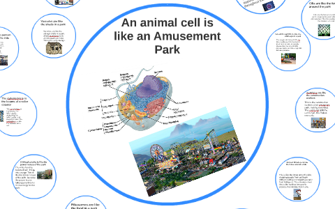 An animal cell is an Amusement park by Dylan Garman on Prezi