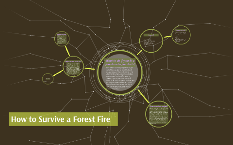 How to Survive a Forest Fire by Sydney Thomas on Prezi