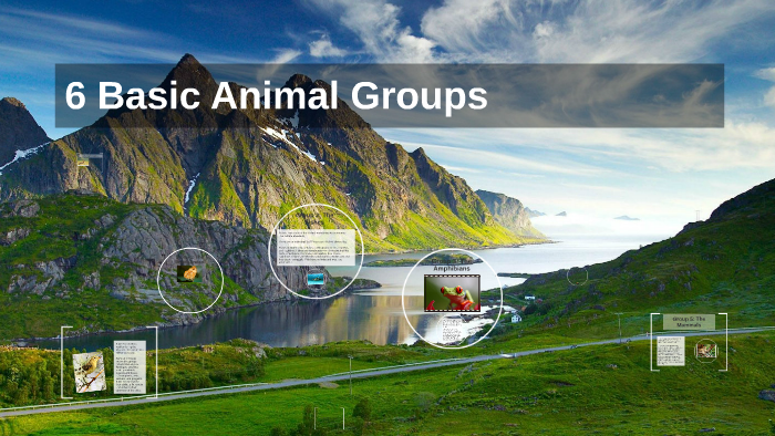 6 Basic Animal Groups by Edoardo Domínguez on Prezi