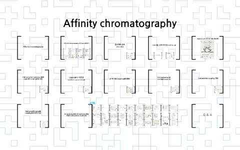 Affinity chromatography.pptx2(New) by 지선 강 on Prezi