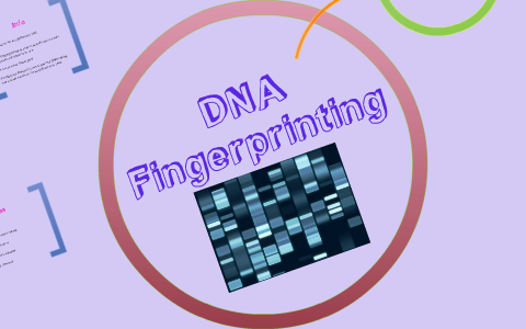 DNA Fingerprinting by Tayla Watson on Prezi