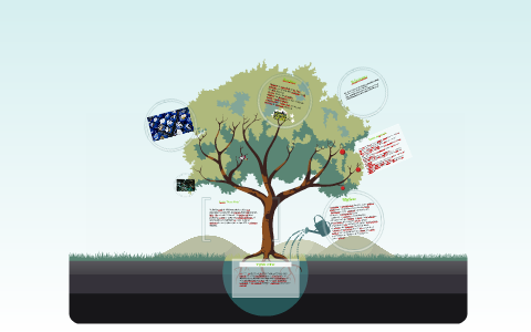 PLANO VERDE by Camila Gonçalves