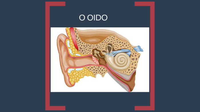O OIDO by Ramón Rodríguez on Prezi
