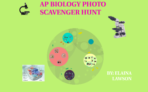 AP BIOLOGY PHOTO SCAVENGER HUNT by Elaina Lawson on Prezi