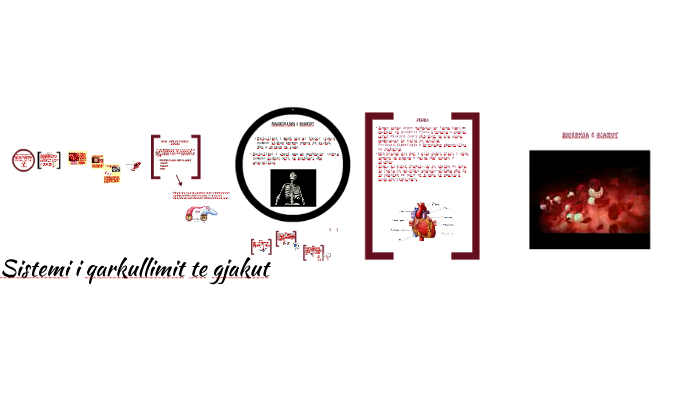 Sistemi i organeve te qarkullimit te gjakut by Diellza Elmazi on Prezi