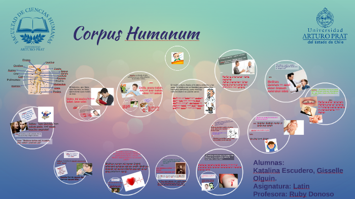 Corpus Humanum by gisselle olguin on Prezi