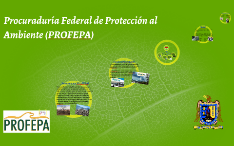 PROFEPA by alondra gonzalez on Prezi