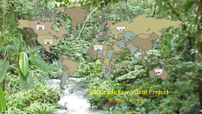 5th Grade Ecosystem Project by Kaleb Thompson on Prezi