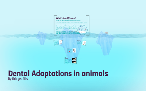 Dental Adaptations in animals by on Prezi