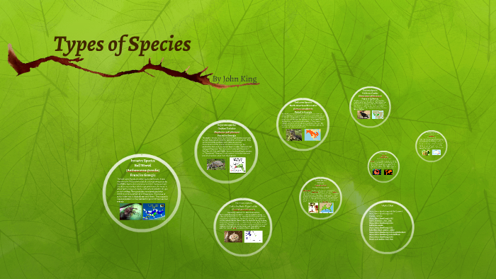 Types of Species by John King on Prezi