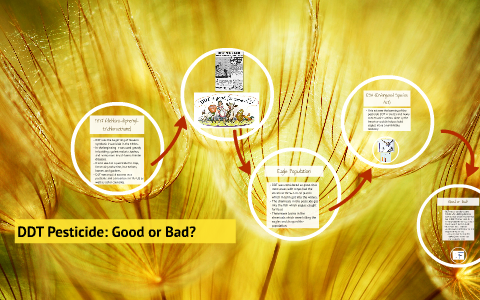 DDT Pesticide: Good or Bad? by Celeste Carrillo on Prezi
