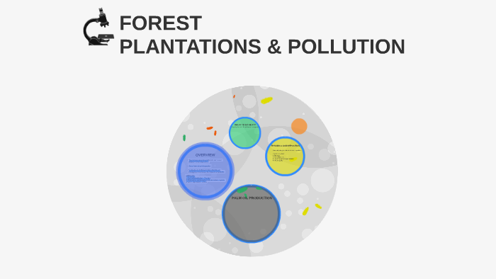 FOREST PLANTATIONS & POLLUTION by Pyone Aye on Prezi