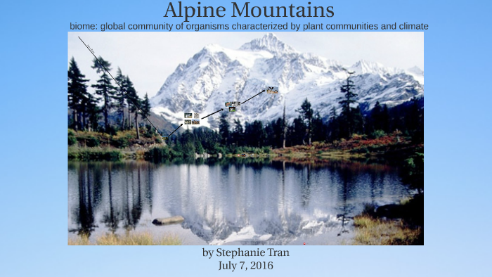 Alpine Mountains Biome by Stephanie Tran on Prezi