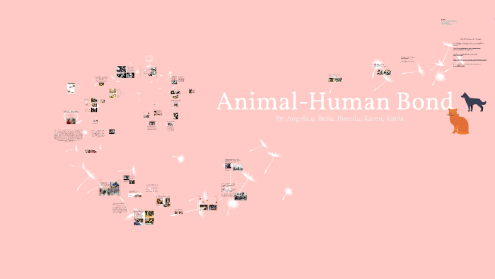 Animal-Human Bond by Karen Go on Prezi