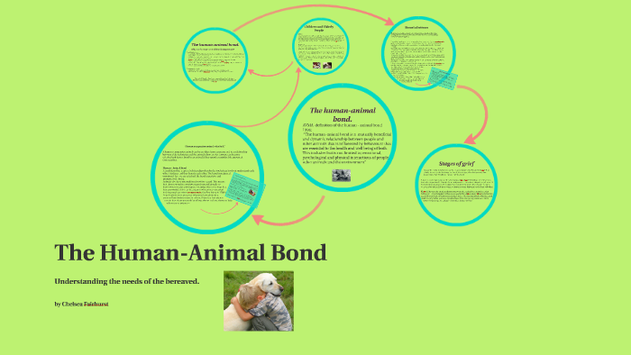 The Human - Animal Bond. by Chelsea Fairhurst on Prezi