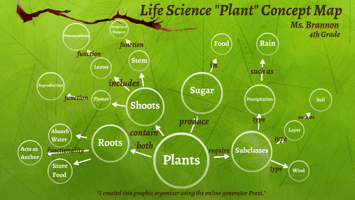 Life Science Concept Map by Erica Brannon on Prezi