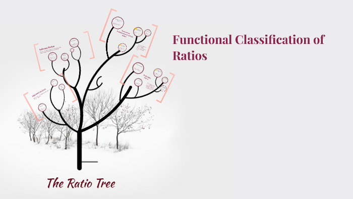 Functional Classification of Ratios by Raghav Mishra on Prezi