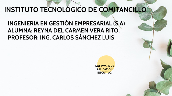 INSTITUTO TECNOLOGICO DE COMITANCILLO by Reyna del Carmen Vera Rito on ...