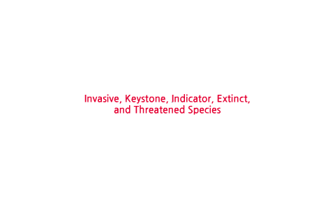 Invasive, Keystone, Indicator, Extinct, Endangered, and Threatened ...