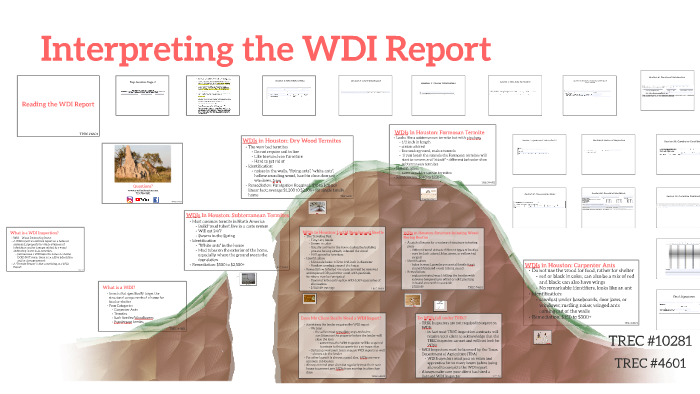 CE Interpreting the WDI Report by Mary LeMaster on Prezi