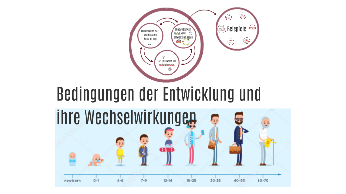 Bedingungen der Entwicklung und ihre Wechselwirkungen by Andrea König ...