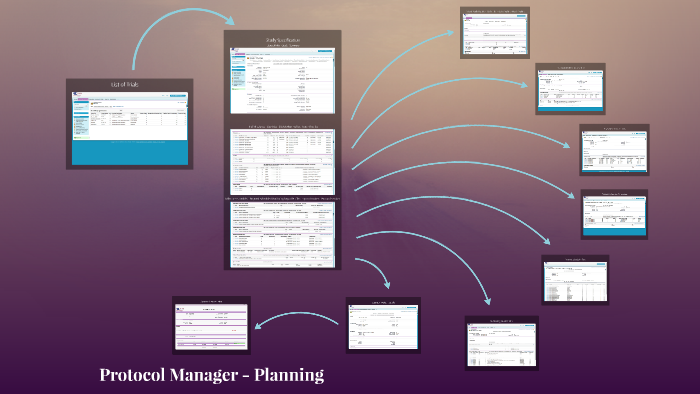 Protocol Manager - Planning by Angelica L on Prezi