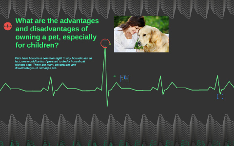 What are the advantages and disadvantages of owning a pet, e by Duong Pham