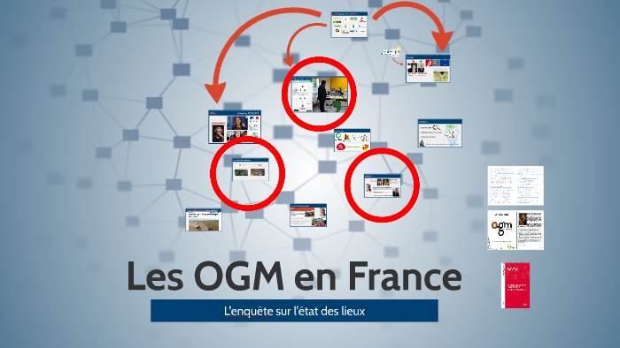Les OGM en France by Esnault Jérémy on Prezi