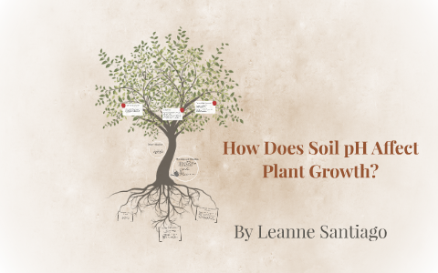 How Does Soil pH Affect Plant Growth? by Leanne Santiago on Prezi