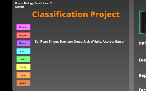Classification Project by Harrison Gross