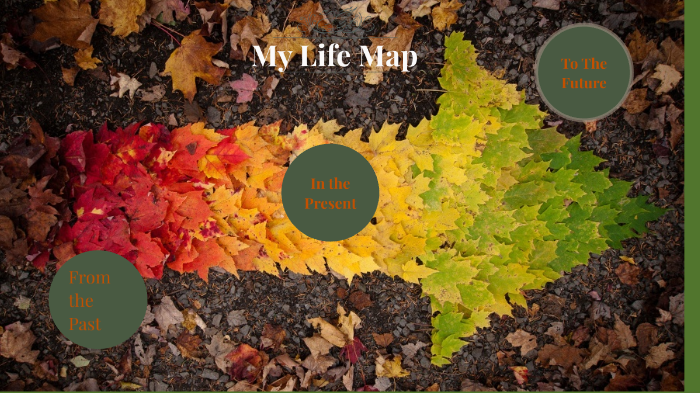 Life Map Activity by Chymera Rosenbalm on Prezi