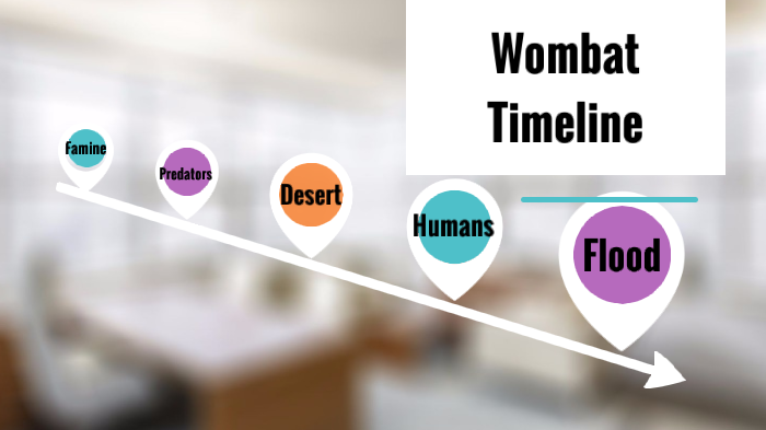 Wombat Evolution by Alexa Steinberg on Prezi