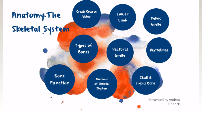Anatomy: The Skeletal System by Andrea Kindrick on Prezi