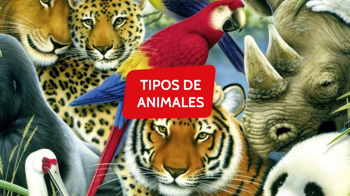 Tipos de animales by Oscar Leonardo Hernández Carbajal on Prezi
