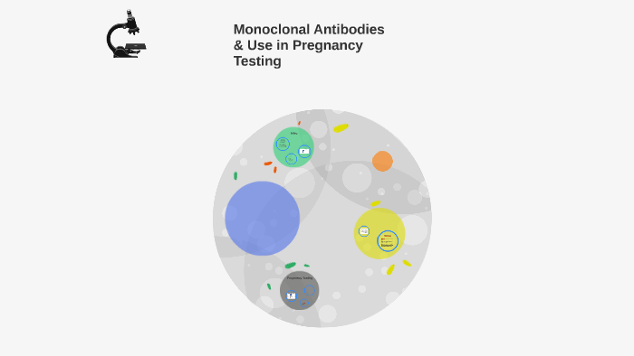 Monoclonal Antibodies & Use in Pregnancy Testing by Vinusan Amaralingam ...