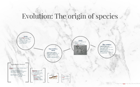 Evolution: The origin of species by Jorden Jolley