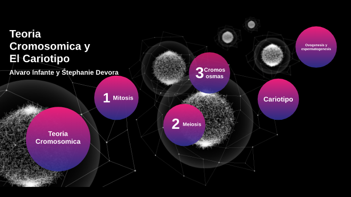 teoria cromosomica by stephanie devora on Prezi