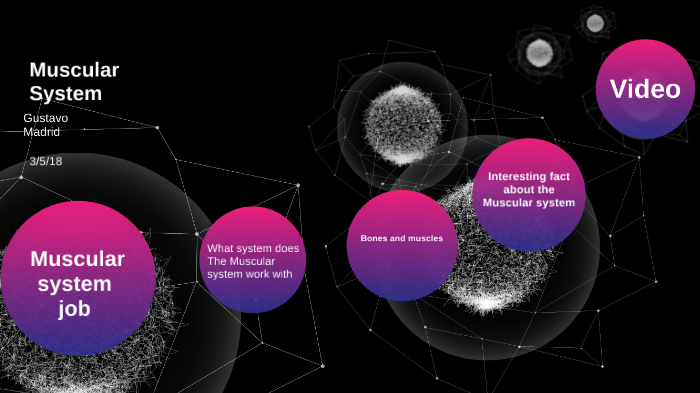 The Muscular system proJect by Gustavo Madrid on Prezi