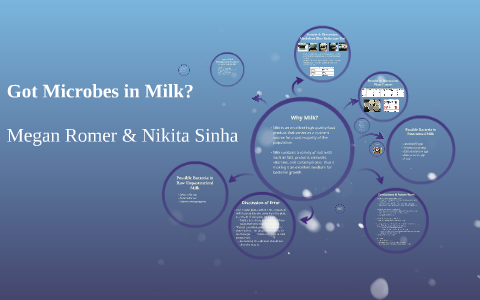 Microbes in Milk by Megan Romer on Prezi