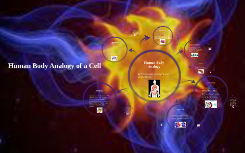 Human Body Analogy by Tylis Shavers on Prezi